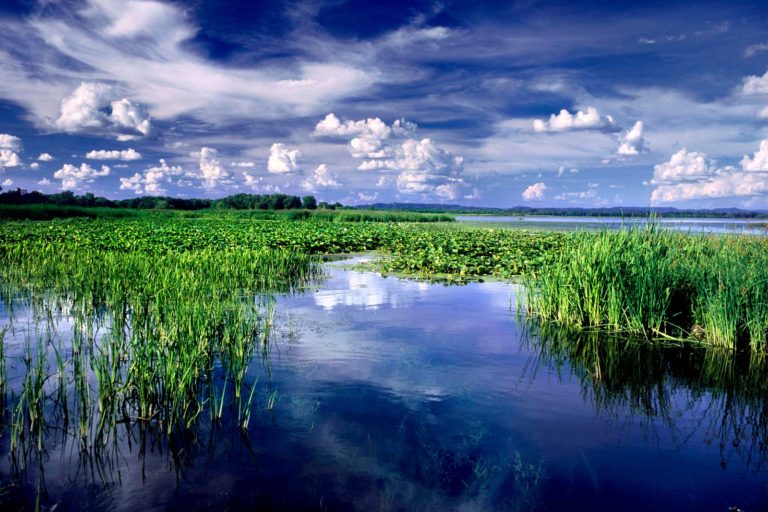 Freshwater Network - The Nature Conservancy